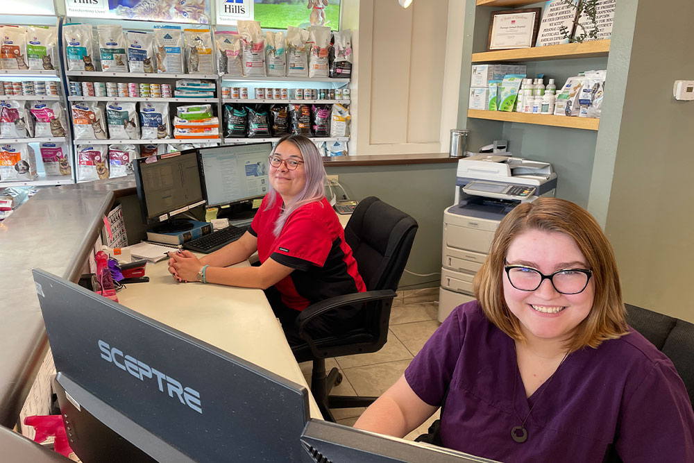 Careers - Vet in Durango | Durango Animal Hospital